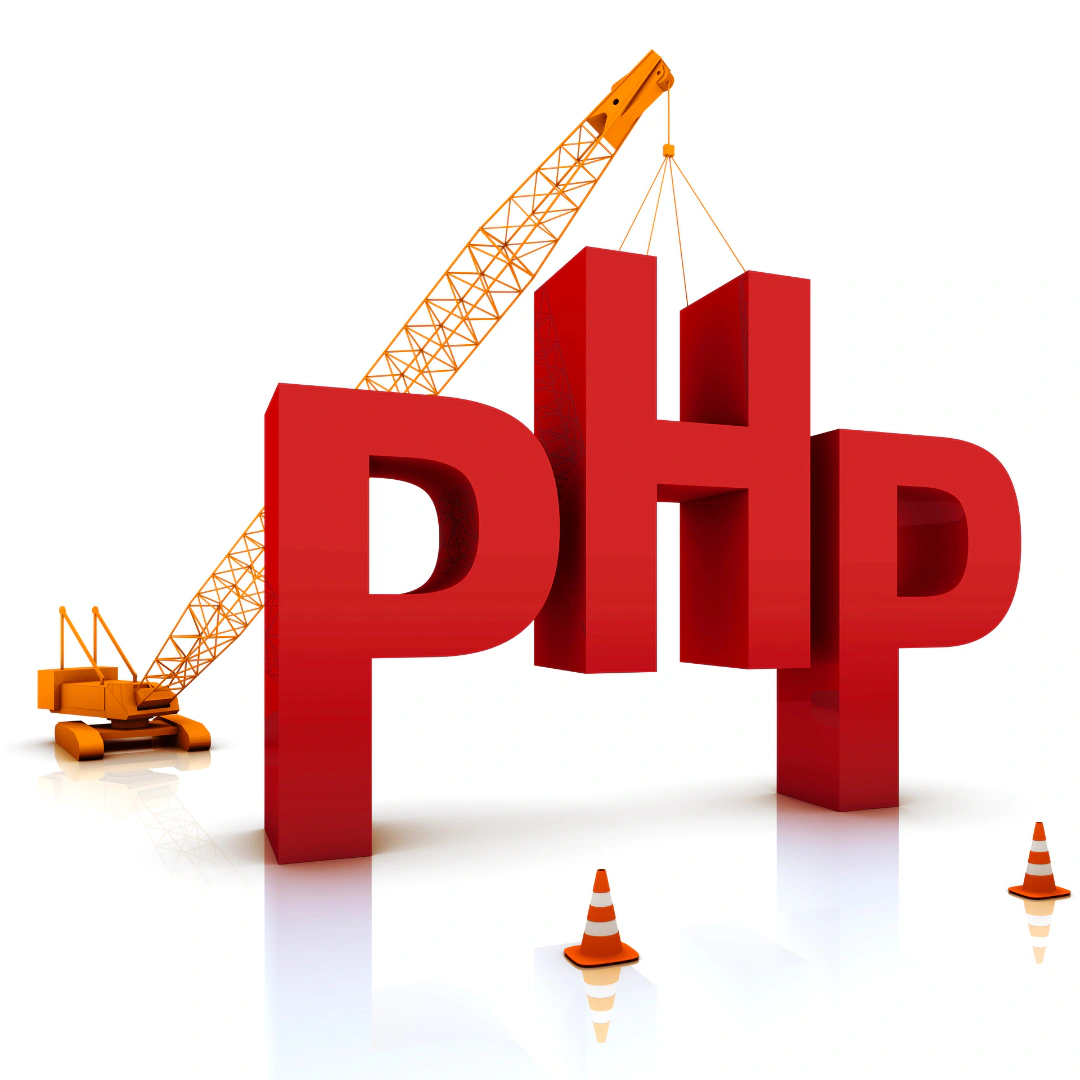 Expert PHP Development Services Associative - India